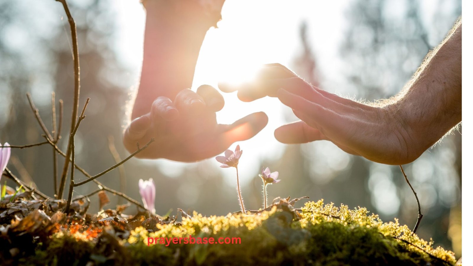 10 Powerful Prayers for Protection: Shield Your Loved Ones and ...