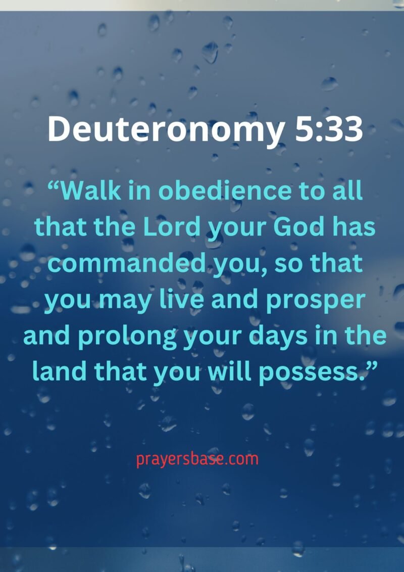 27 Bible Verses About the Will of God to Help You Understand His ...