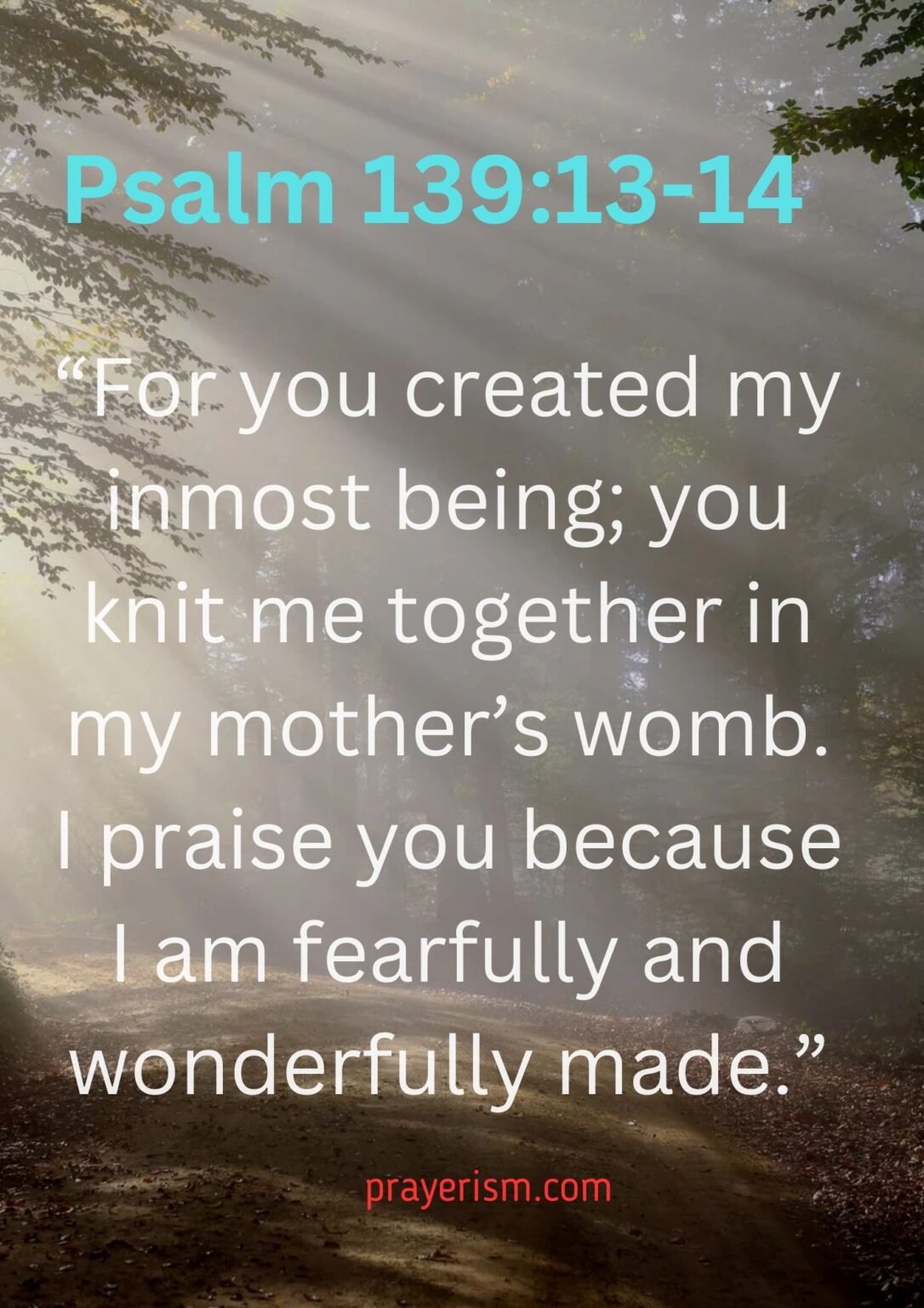 21 Powerful Prayers for Childbirth: Safe Delivery, Strength, and God’s ...