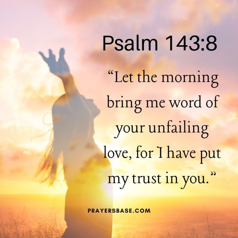 25 Heartfelt Prayers for Catholic Schools: Blessings for Students ...